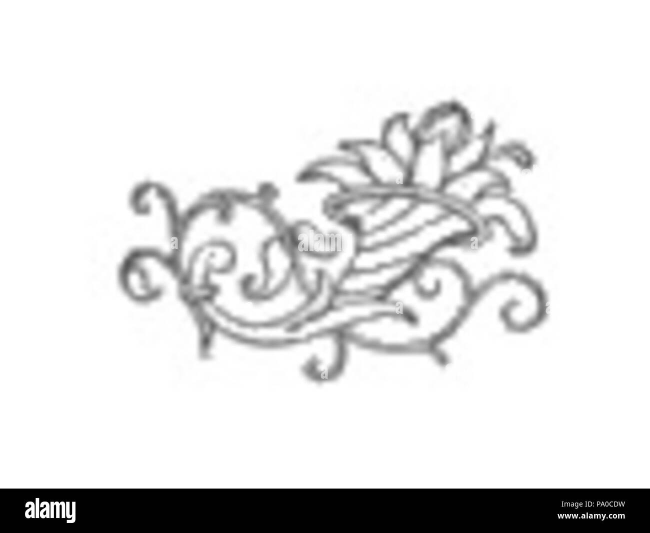 Detailed spray Cut Out Stock Images & Pictures - Alamy