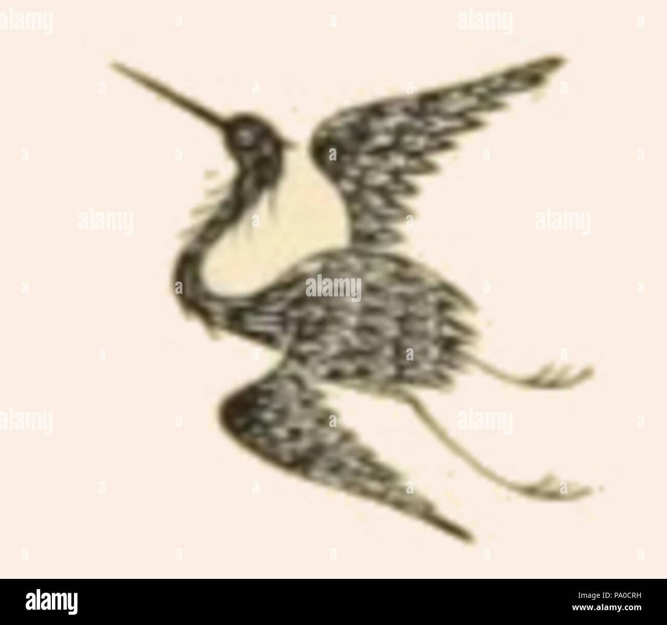 Flying birds pattern hi-res stock photography and images - Alamy