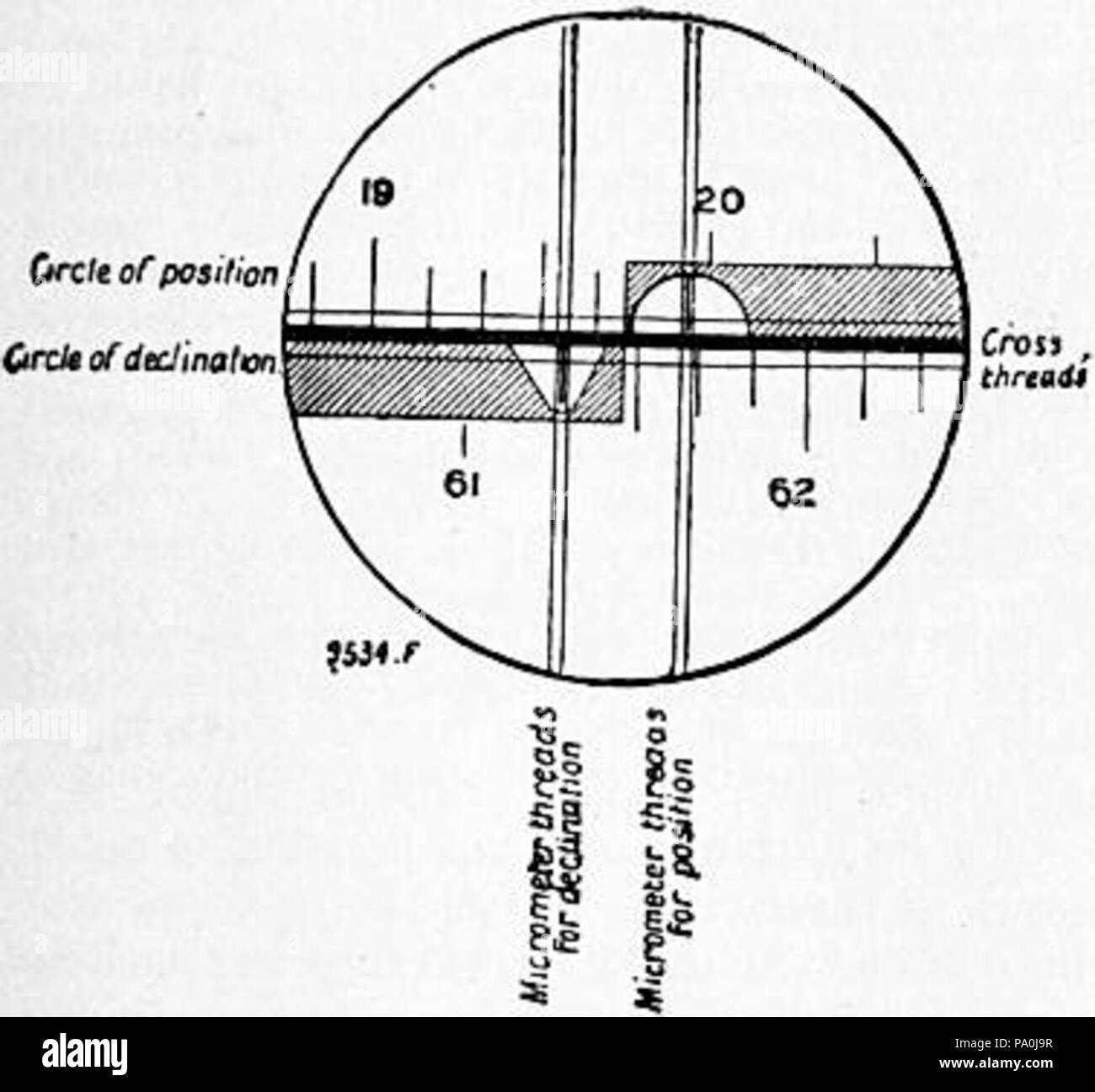 Fig scale Black and White Stock Photos & Images - Alamy