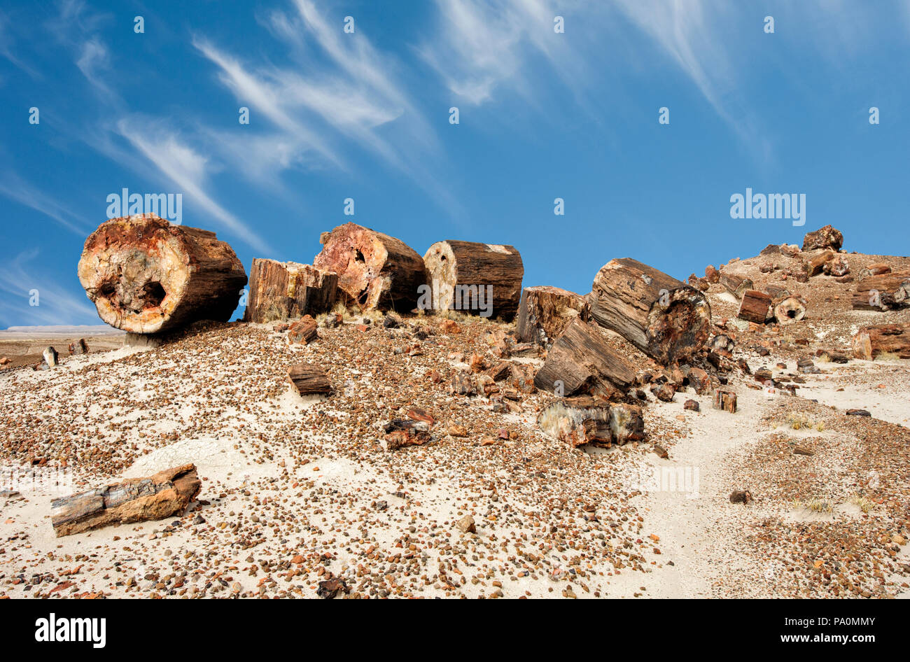 Petrified forest national park hi-res stock photography and images - Alamy