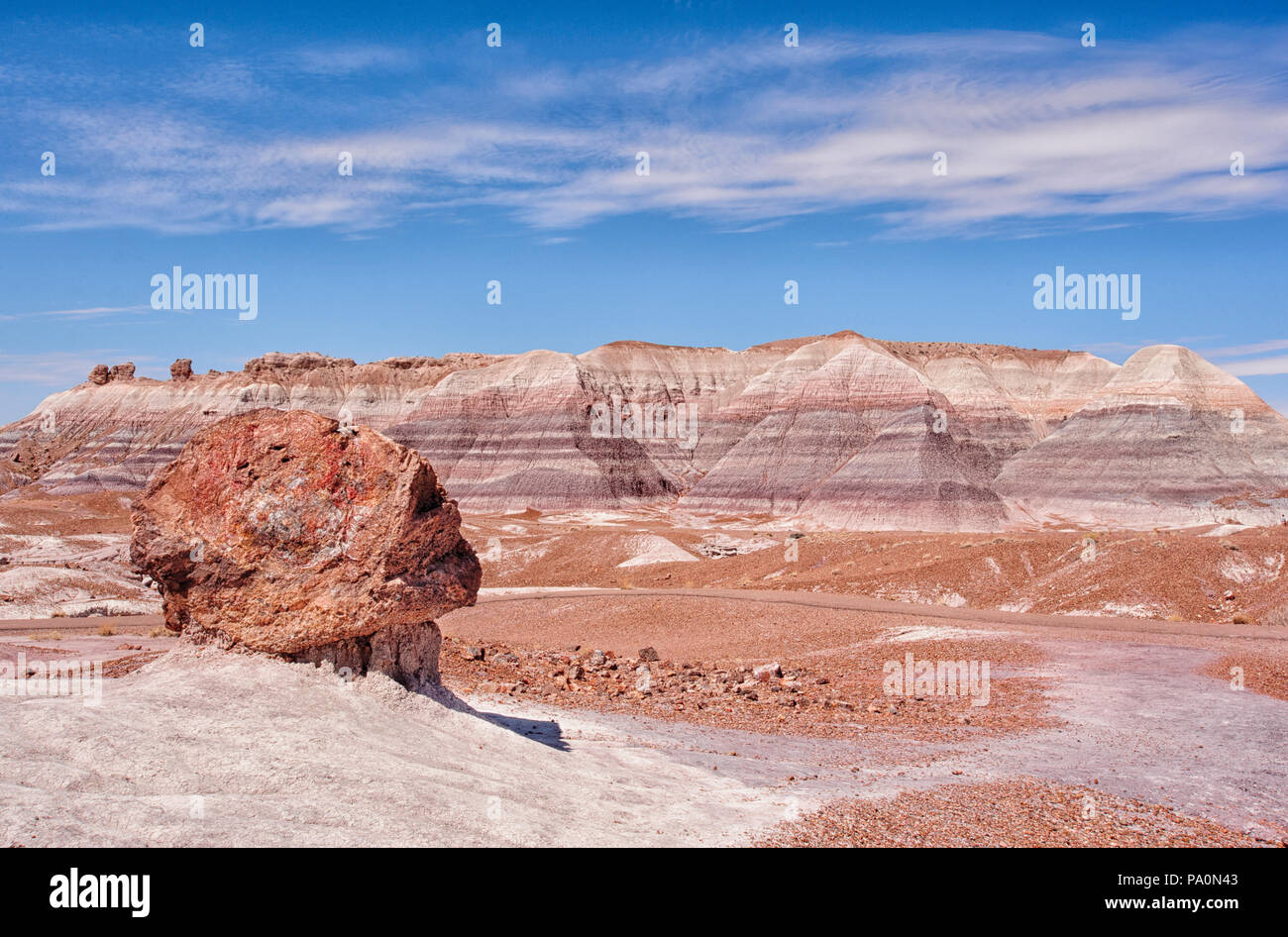 Petrified forest national park hi-res stock photography and images - Alamy
