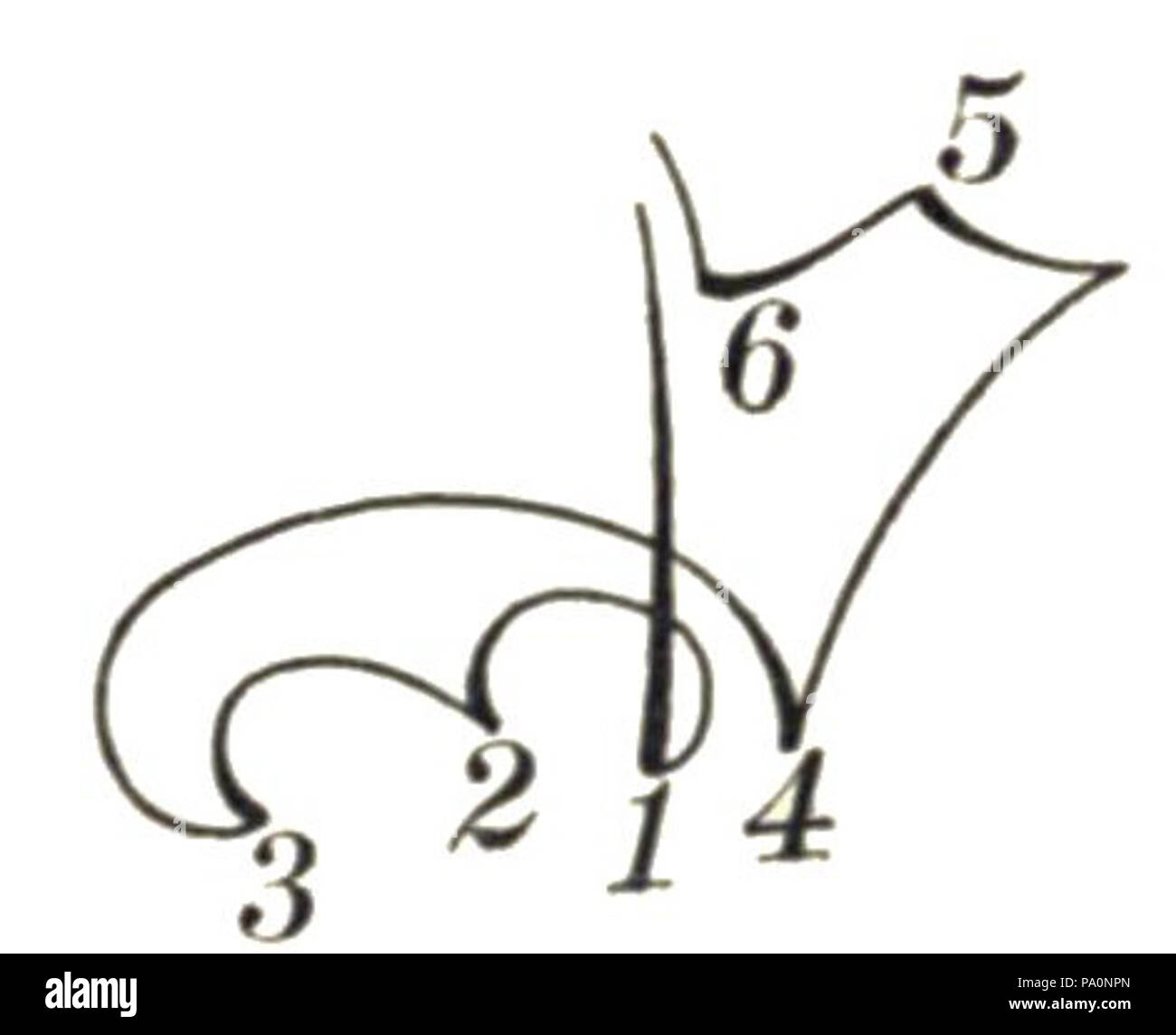 Educational essentials Cut Out Stock Images & Pictures - Alamy