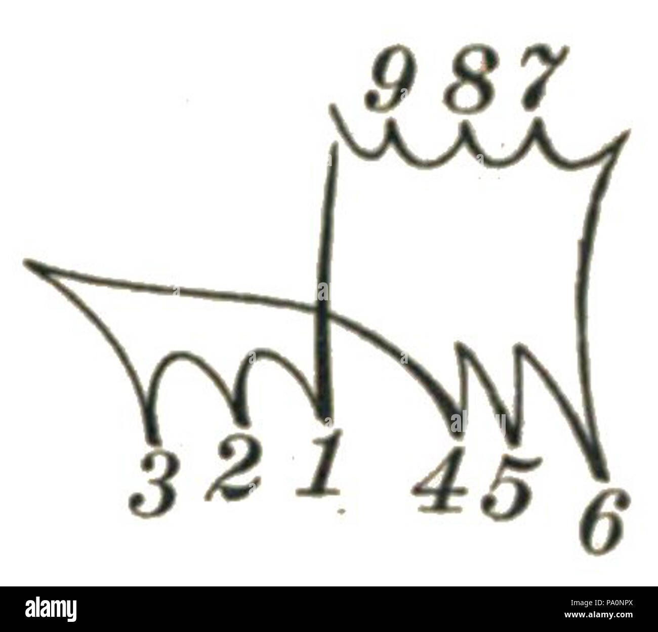 Educational essentials Cut Out Stock Images & Pictures - Alamy