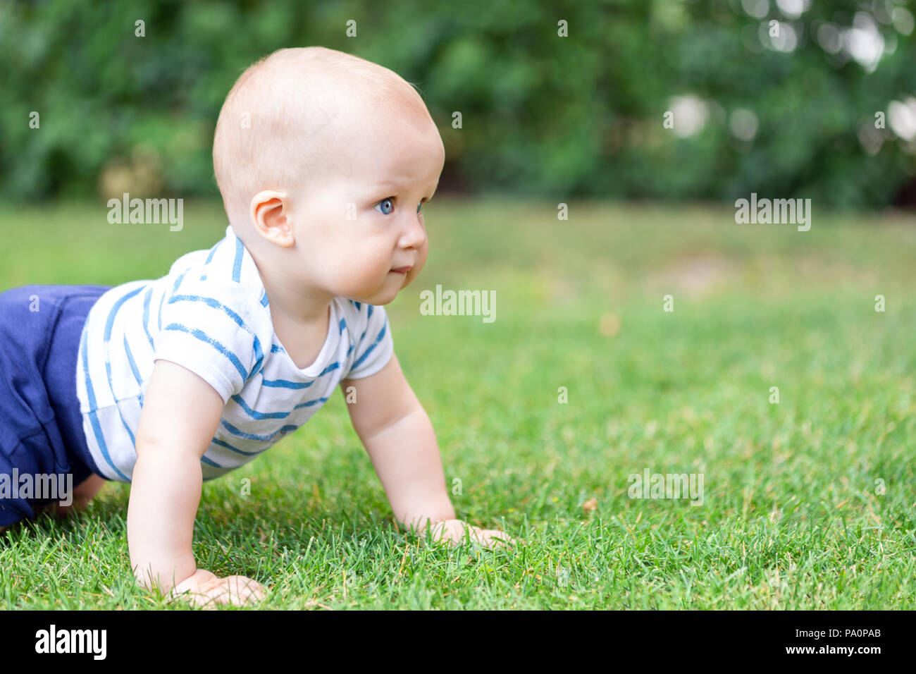 Cute little blond baby boy crawling on fresh green grass. Kid having ...