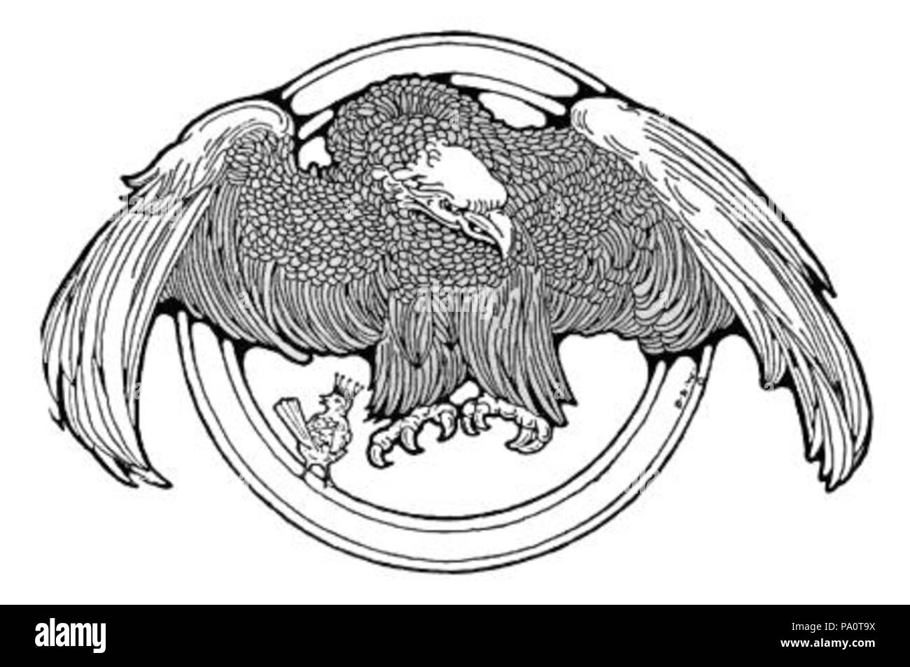 Fierce bird hi-res stock photography and images - Alamy