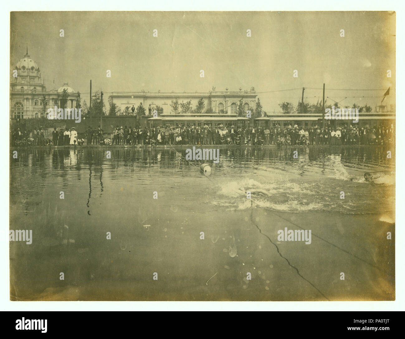 647 Finish of the 50 yard swimming competition, a dead heat, at the ...