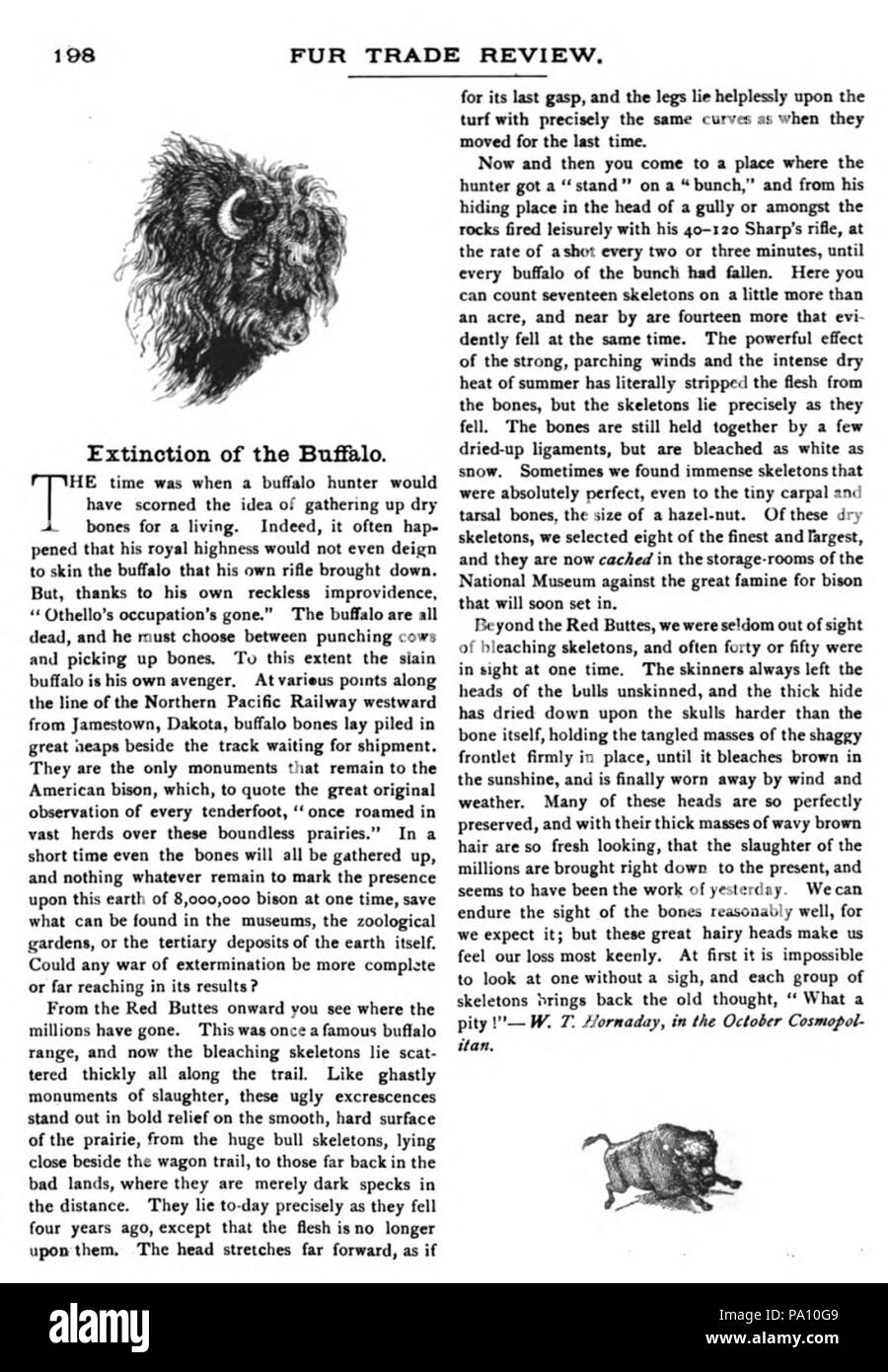 Historical extinction Black and White Stock Photos & Images - Alamy