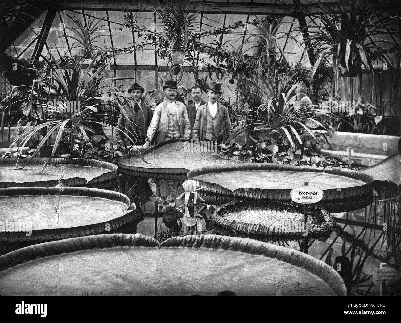 17536 hi-res stock photography and images - Alamy