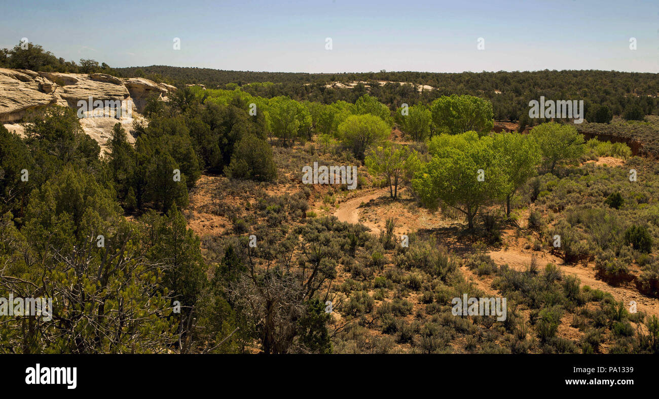 Kane gulch ranger station hi-res stock photography and images - Alamy