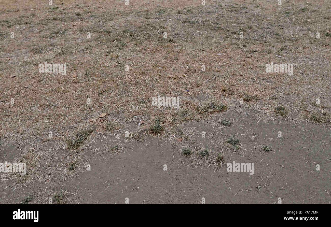 Mud patches hi-res stock photography and images - Alamy
