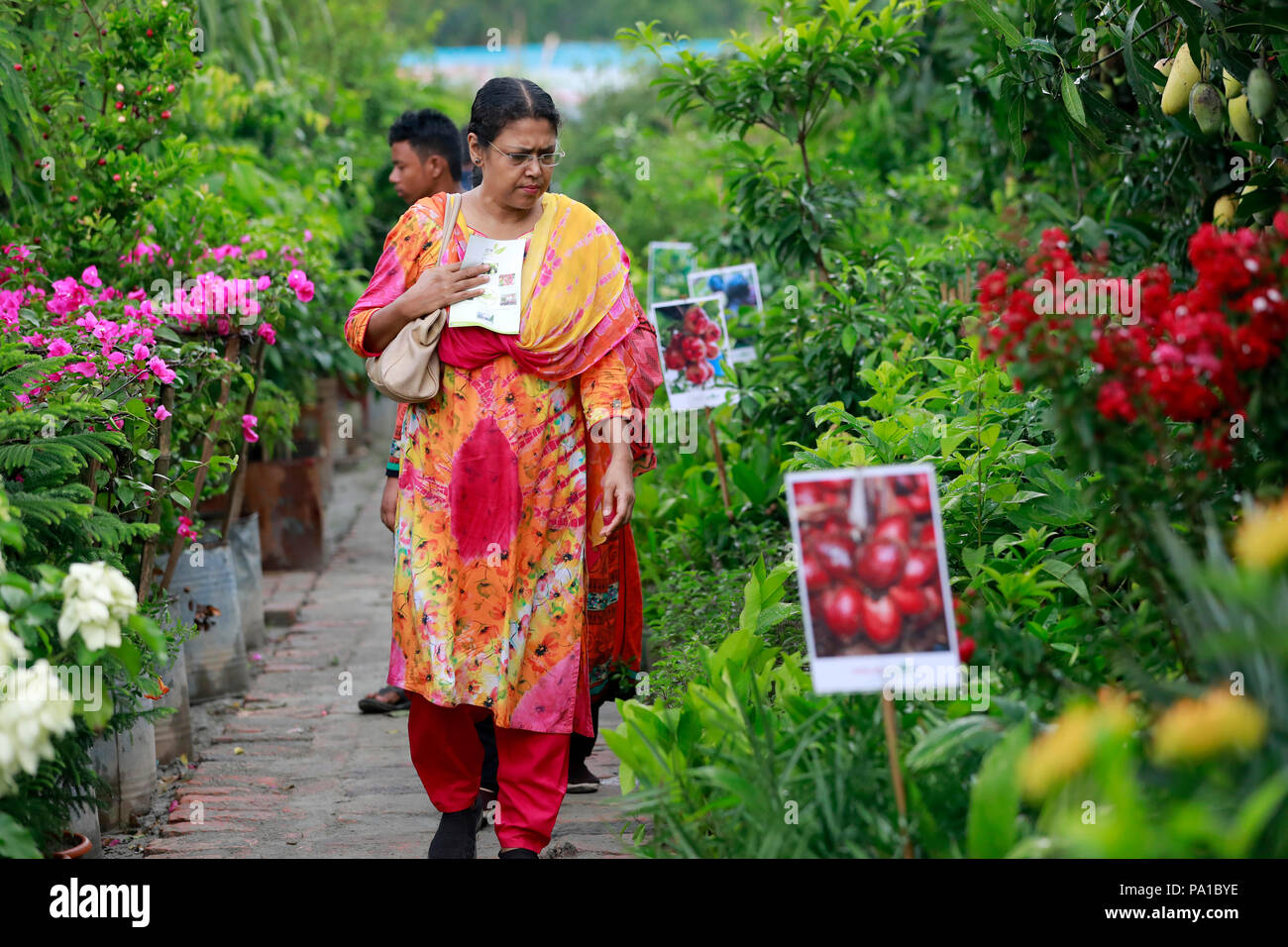 Bangladeshi mango tree hi-res stock photography and images - Alamy