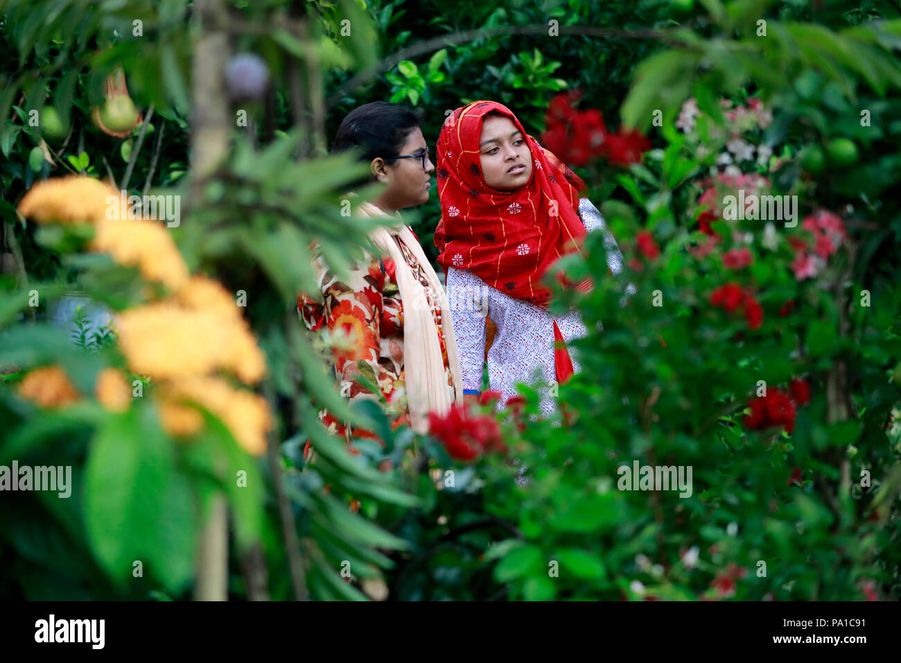 Bangladeshi mango tree hi-res stock photography and images - Alamy
