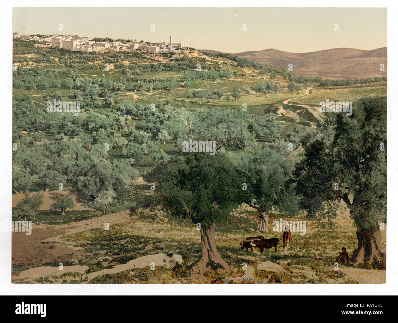 Ancient samaria hi-res stock photography and images - Alamy