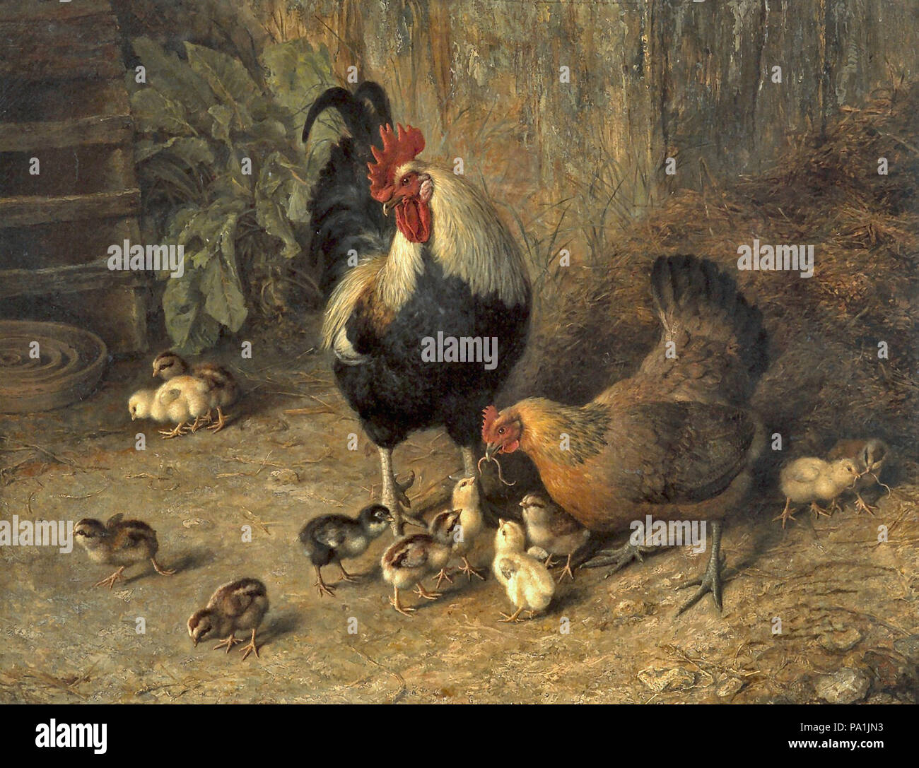 Frank paton hi-res stock photography and images - Alamy