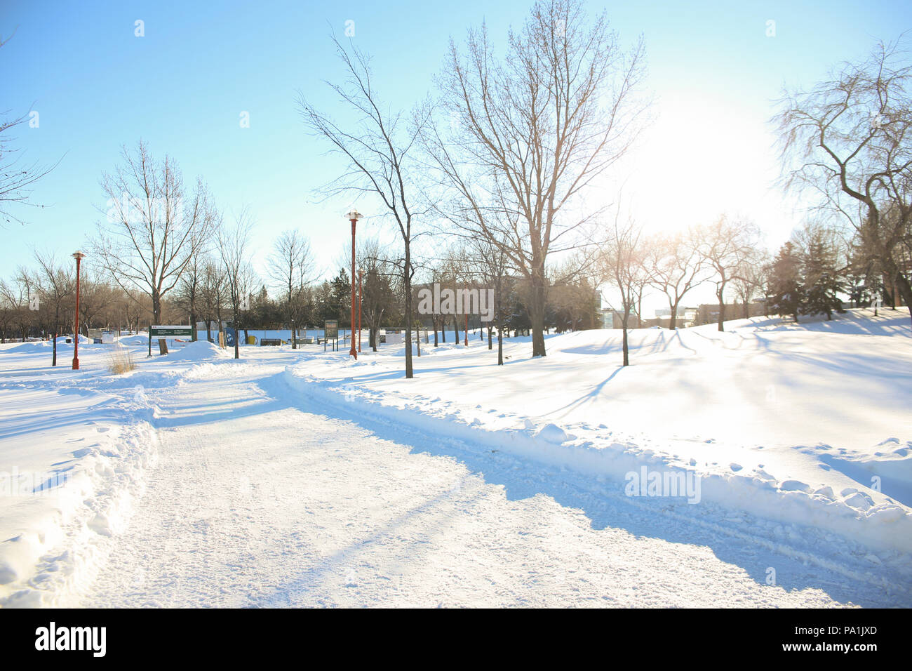 Sunny winter day at the park. Winnipeg, Canada Stock Photo - Alamy