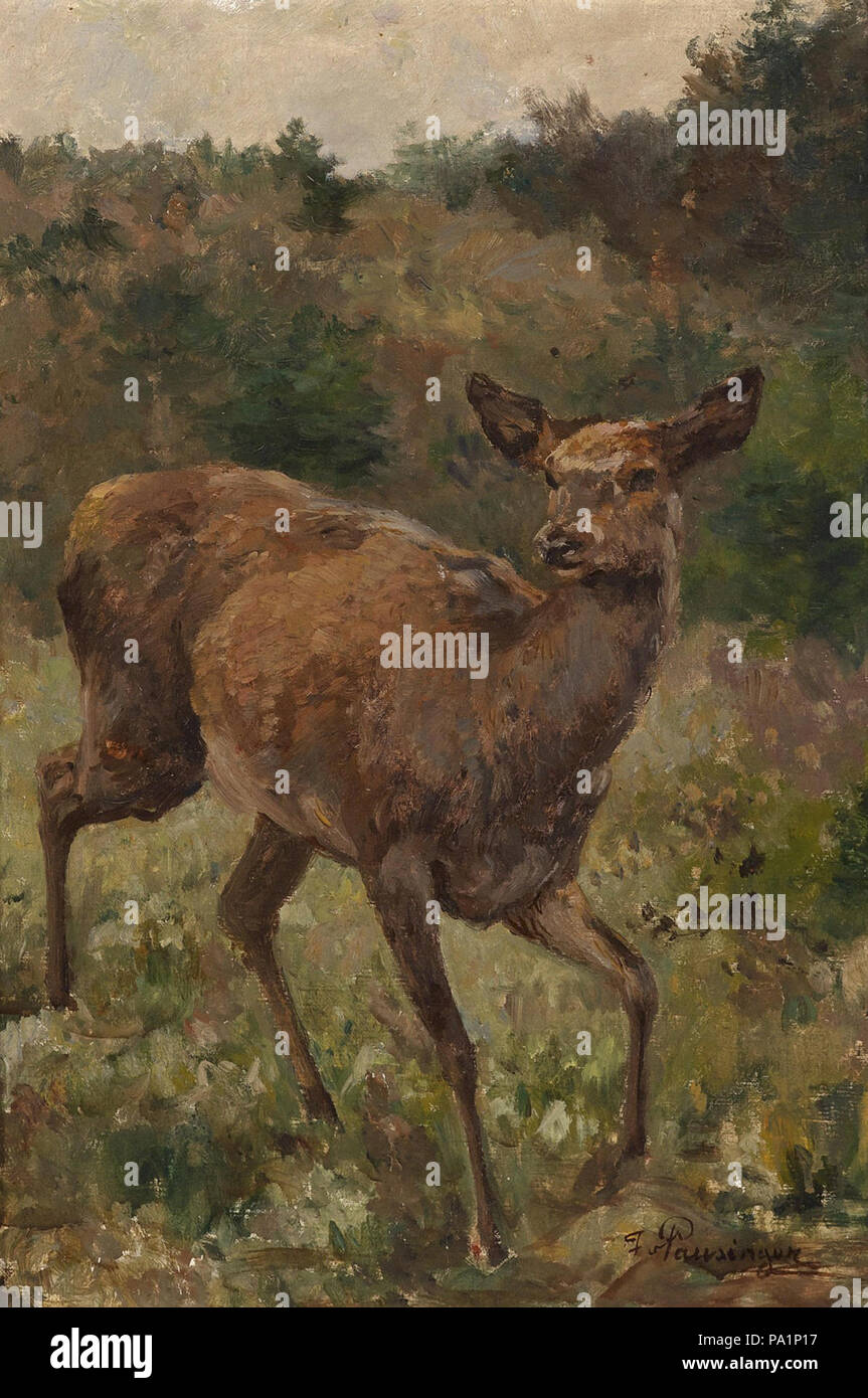 Pausinger Franz Xaver Von - Red Deer Stock Photo - Alamy