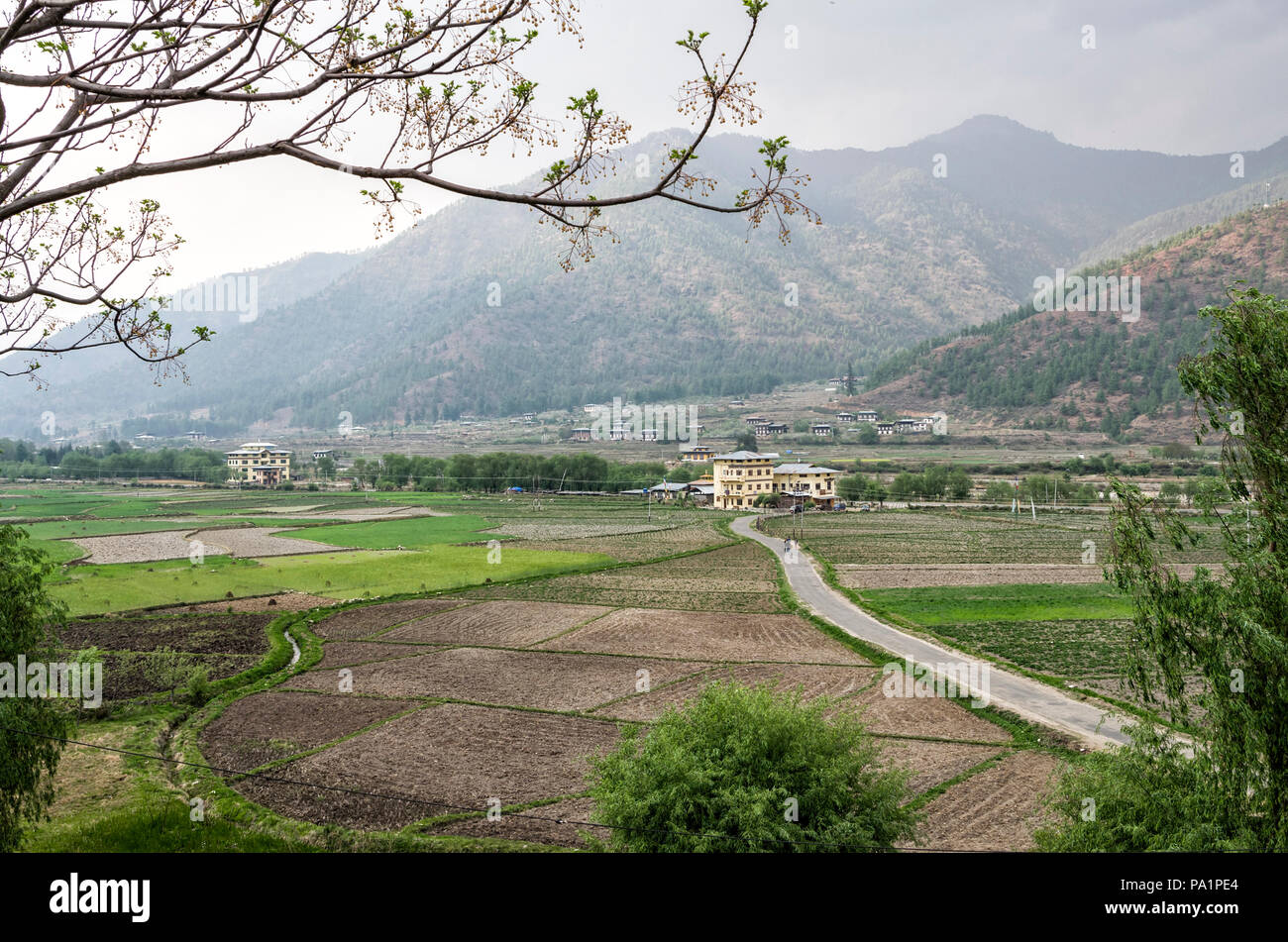 Aerial view of villages in Paro, Bhutan - Bhutan, village and rice ...