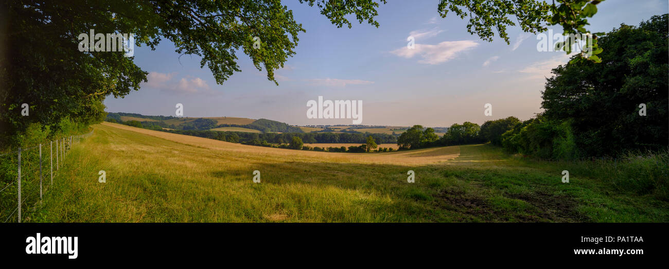 Summer view of St James the Evangelist Church, West Meon in the Meon ...