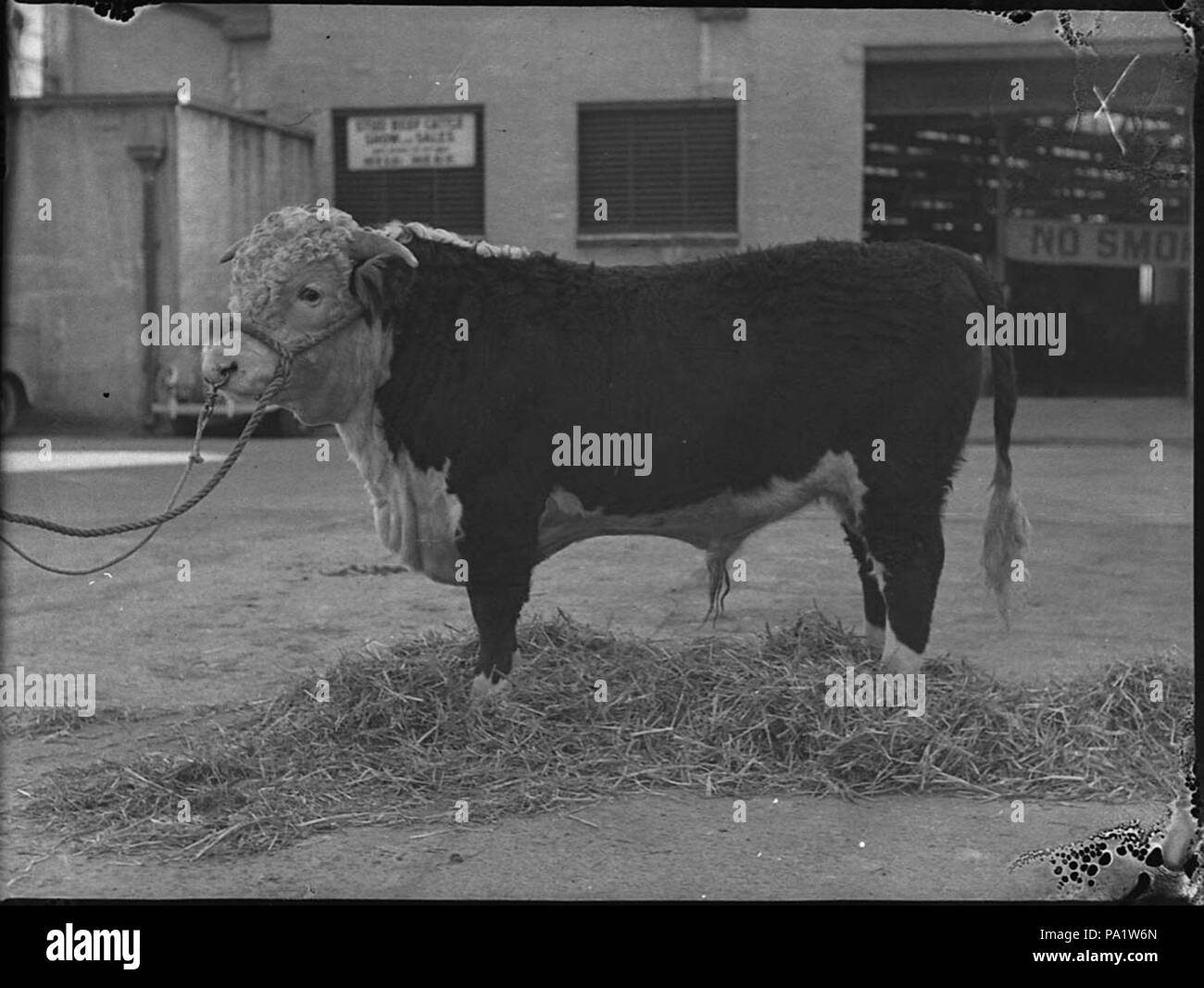 Transactionrecord hi-res stock photography and images - Alamy