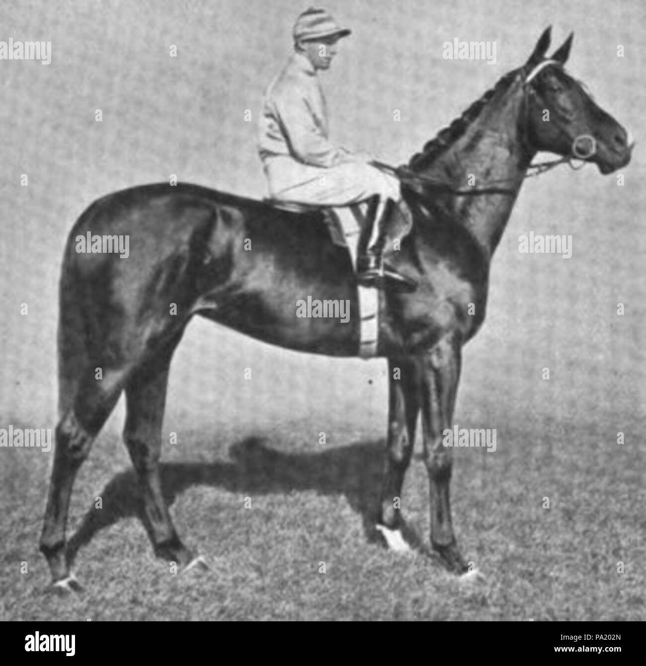 Cultivation golden Black and White Stock Photos & Images - Alamy