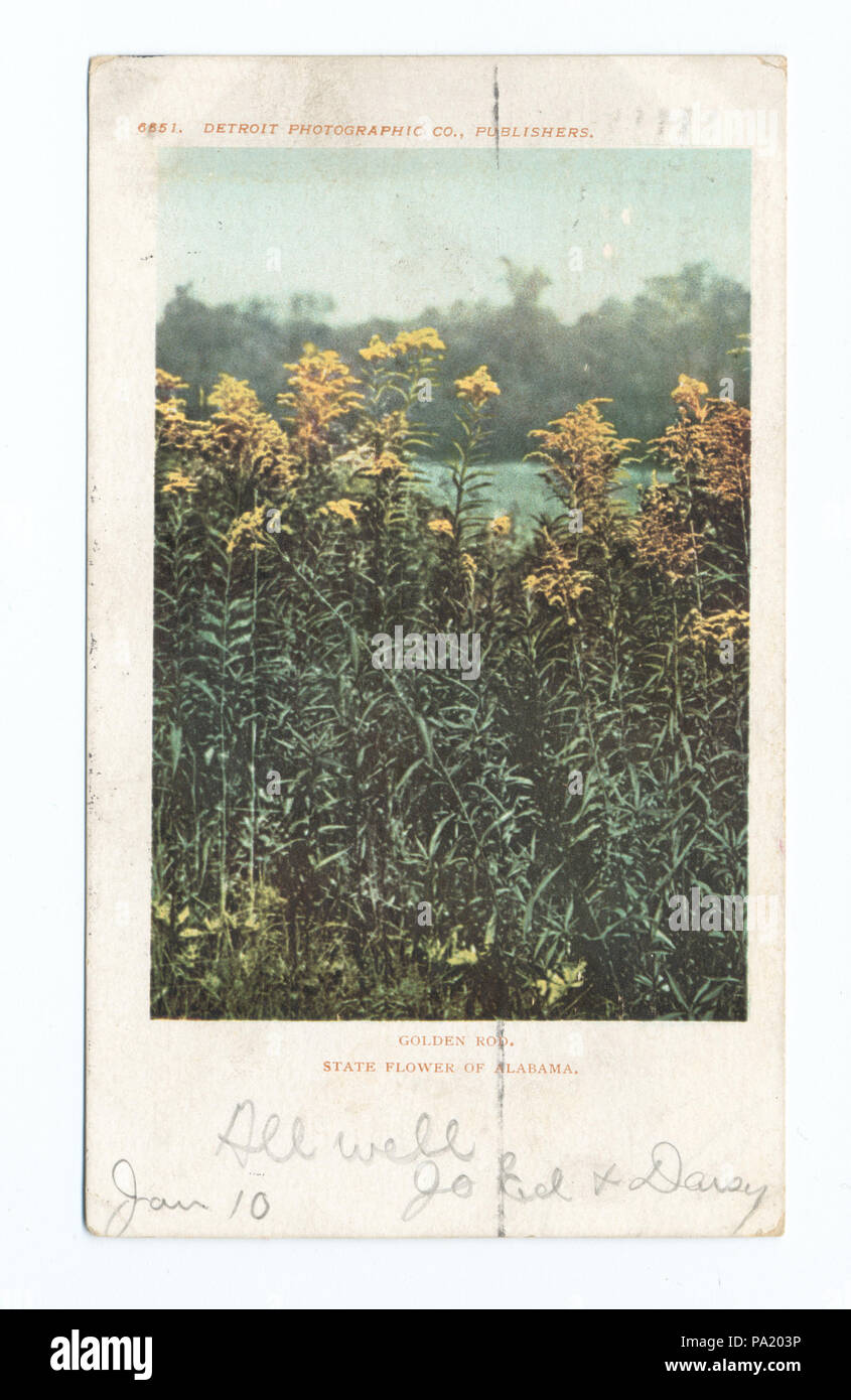 Golden state Cut Out Stock Images & Pictures - Alamy