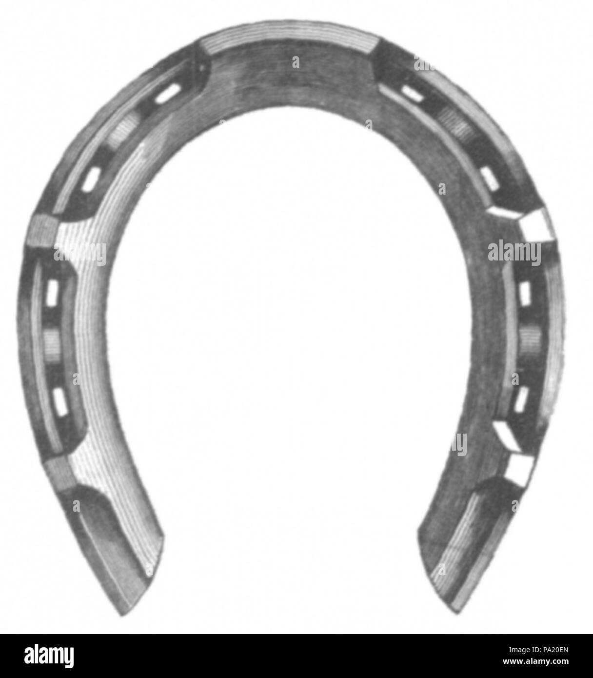 Horse hoof shoe Black and White Stock Photos & Images - Alamy