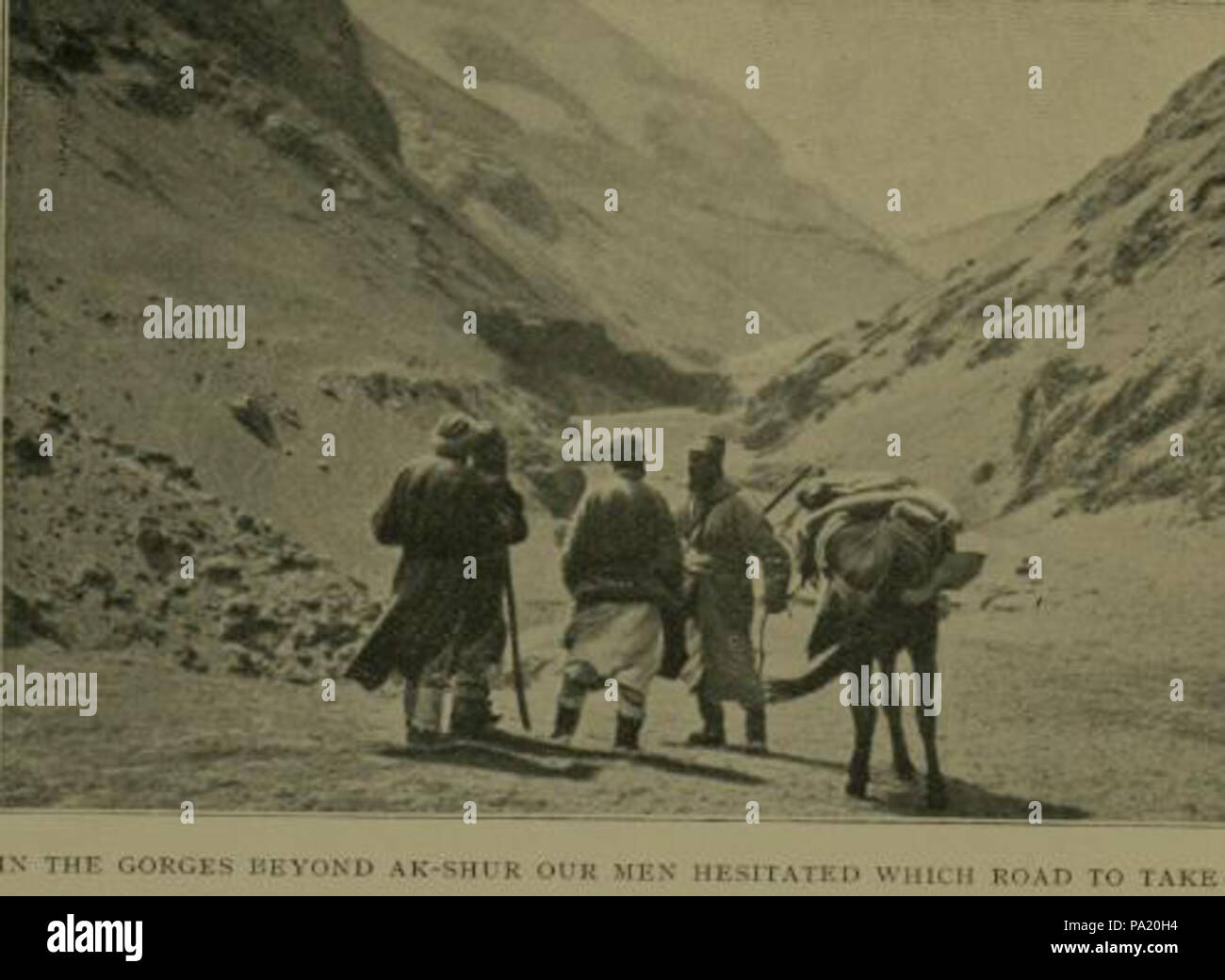 Shur hi-res stock photography and images - Alamy