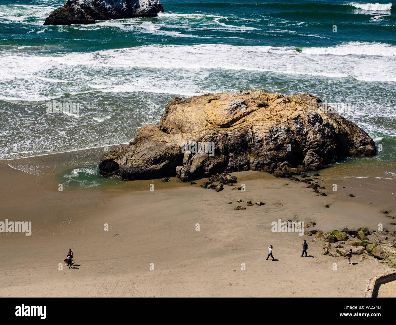 Dog Seal High Resolution Stock Photography and Images - Alamy