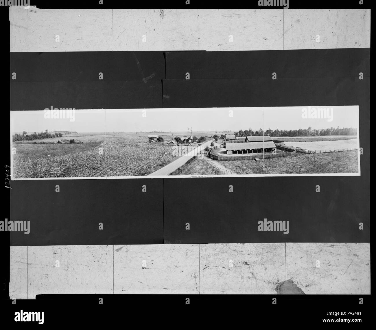 Crops georgia hi-res stock photography and images - Alamy