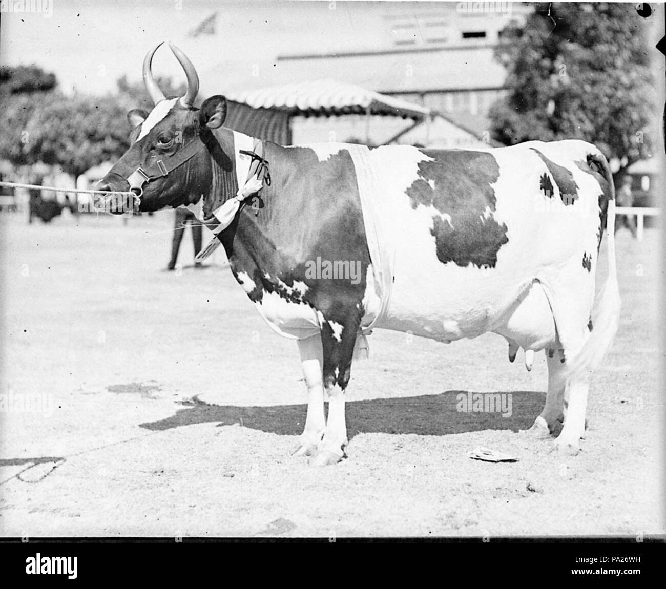 Fair trade show display hi-res stock photography and images - Alamy