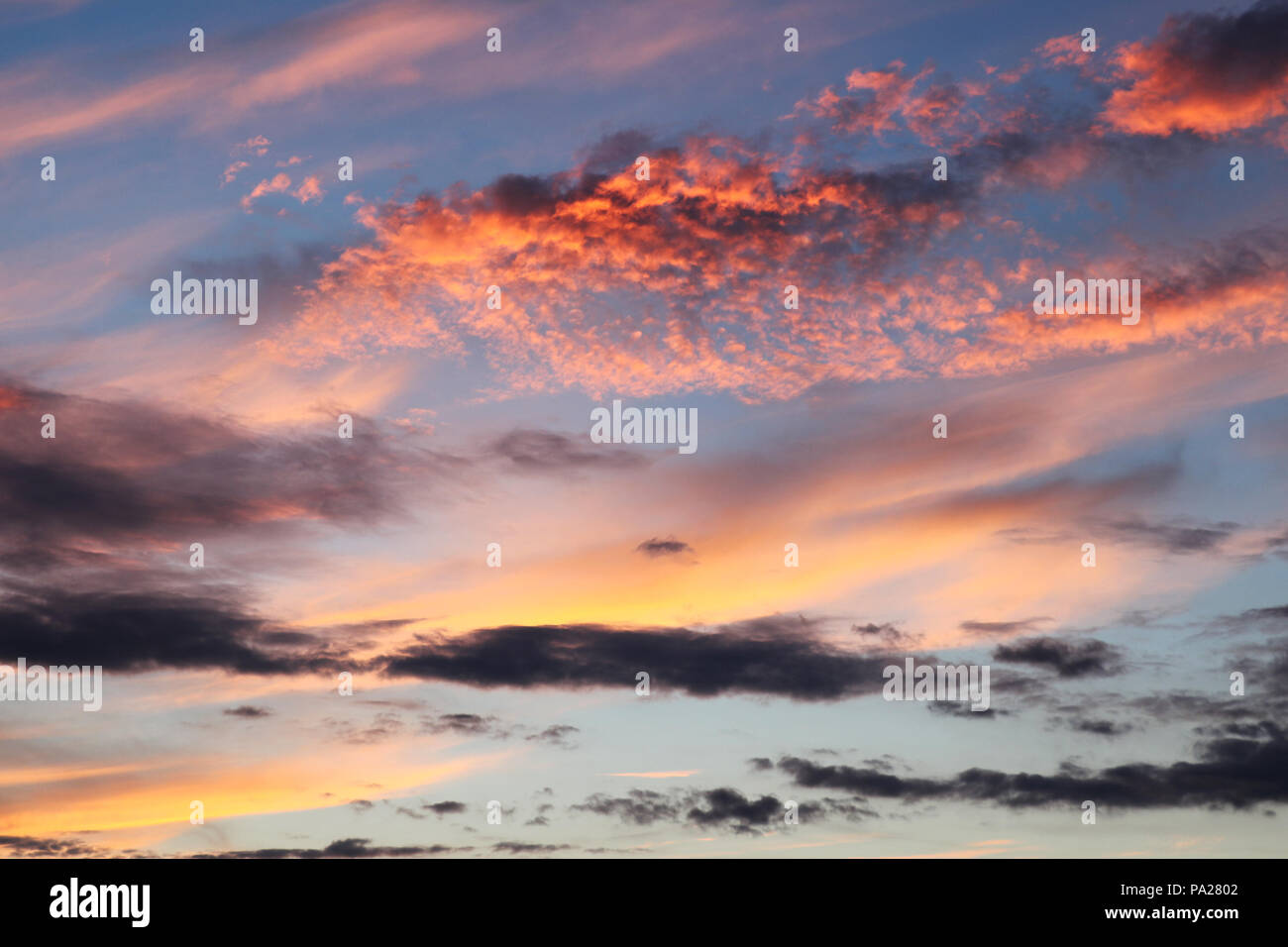 Beautiful yellow sky hi-res stock photography and images - Alamy