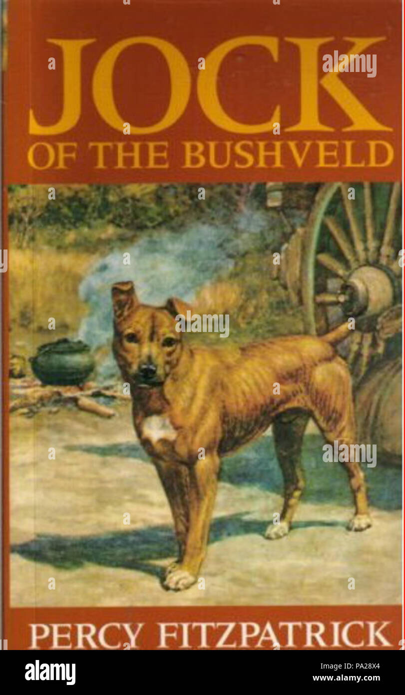 Jock of the bushveld hi-res stock photography and images - Alamy