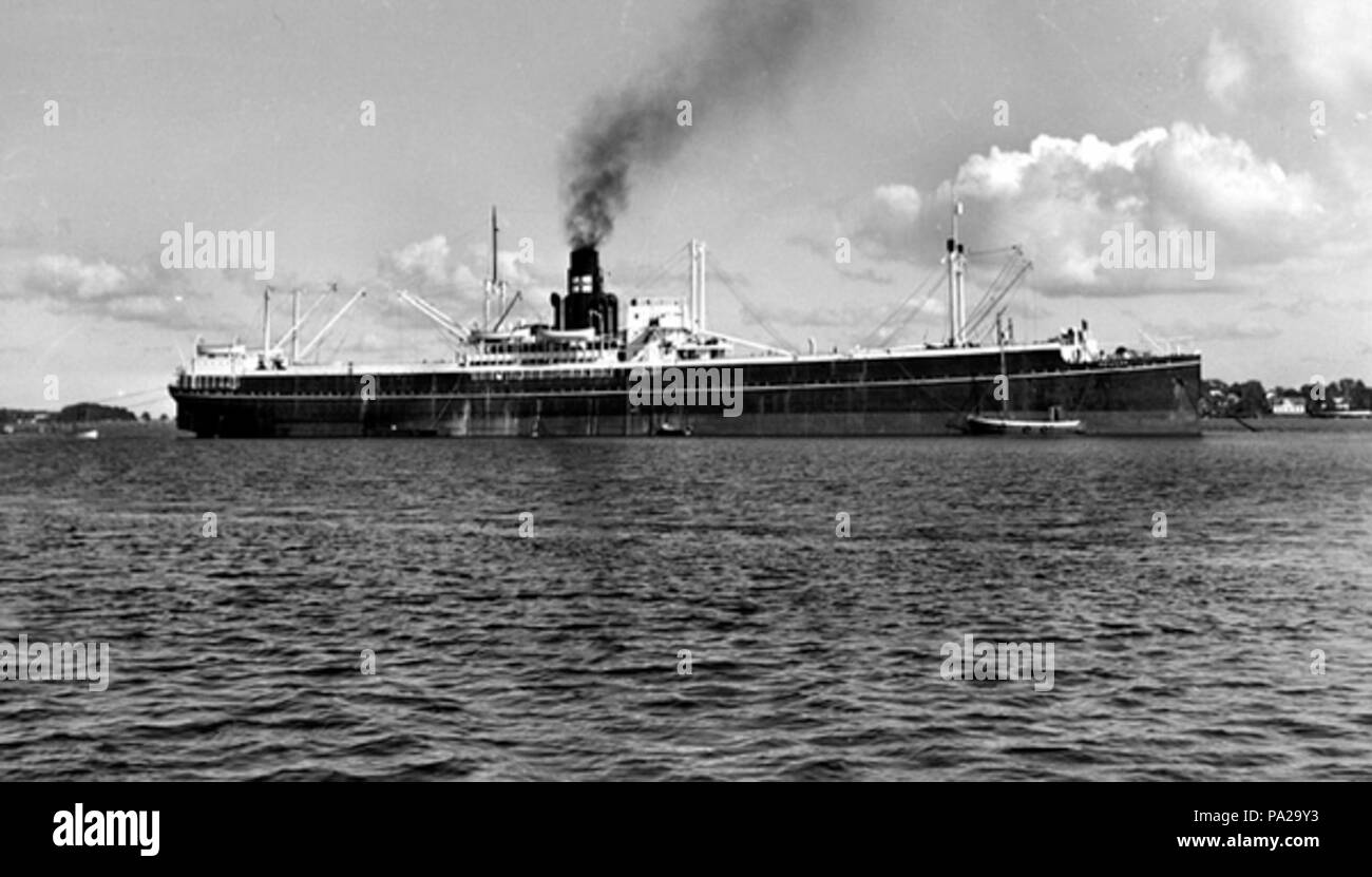 Pelagos hi-res stock photography and images - Alamy