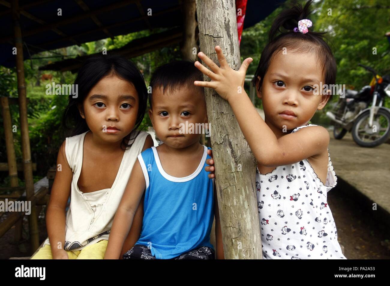 Blank Facial Expression High Resolution Stock Photography and Images ...
