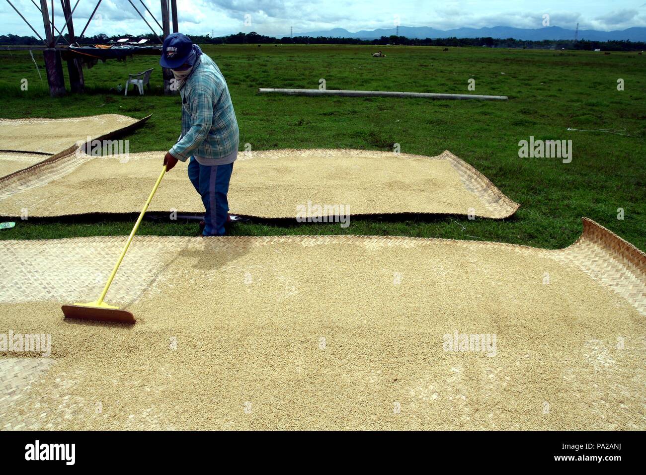 Filipino rice farmer hi-res stock photography and images - Alamy