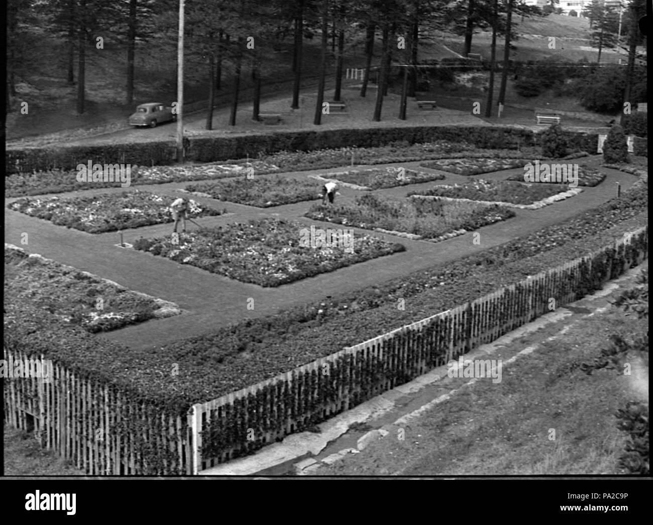 Park viewpoint Black and White Stock Photos & Images - Alamy