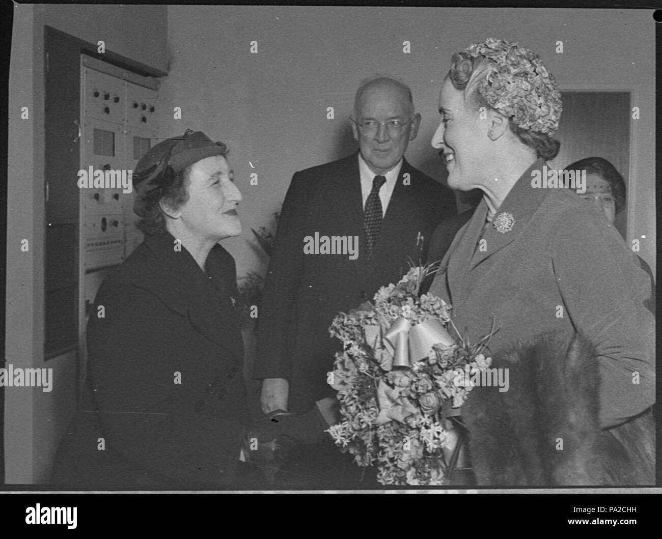 32978 hi-res stock photography and images - Alamy