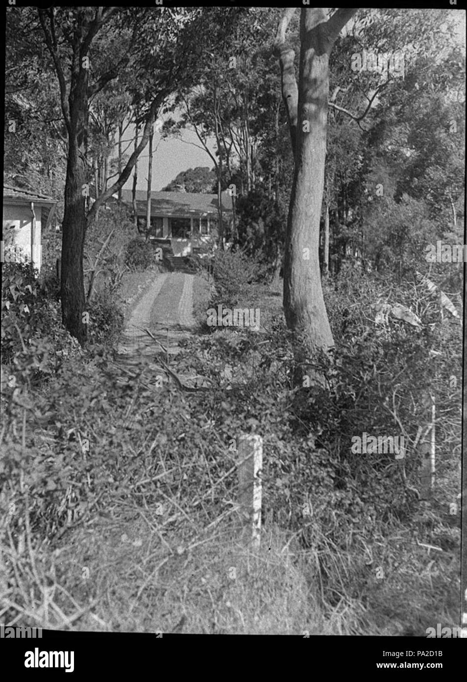 Adamstown heights hi-res stock photography and images - Alamy