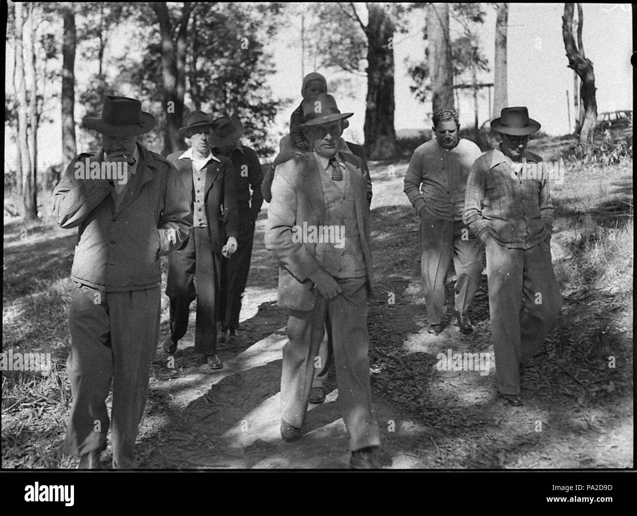 238 SLNSW 126742 Inspecting Blackbutt Reserve Stock Photo - Alamy