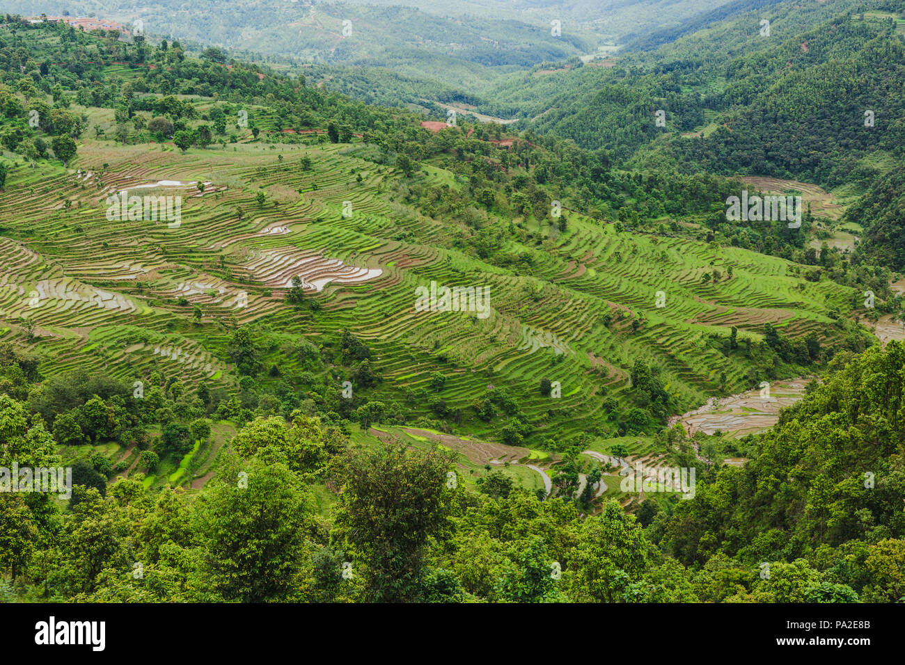 Scenery of beautiful Nepali rural village with mountains and green forest.It is in the hilly ...