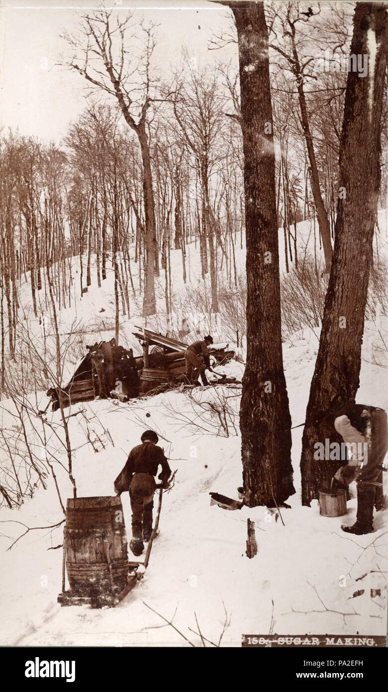 Erabliere hi-res stock photography and images - Alamy