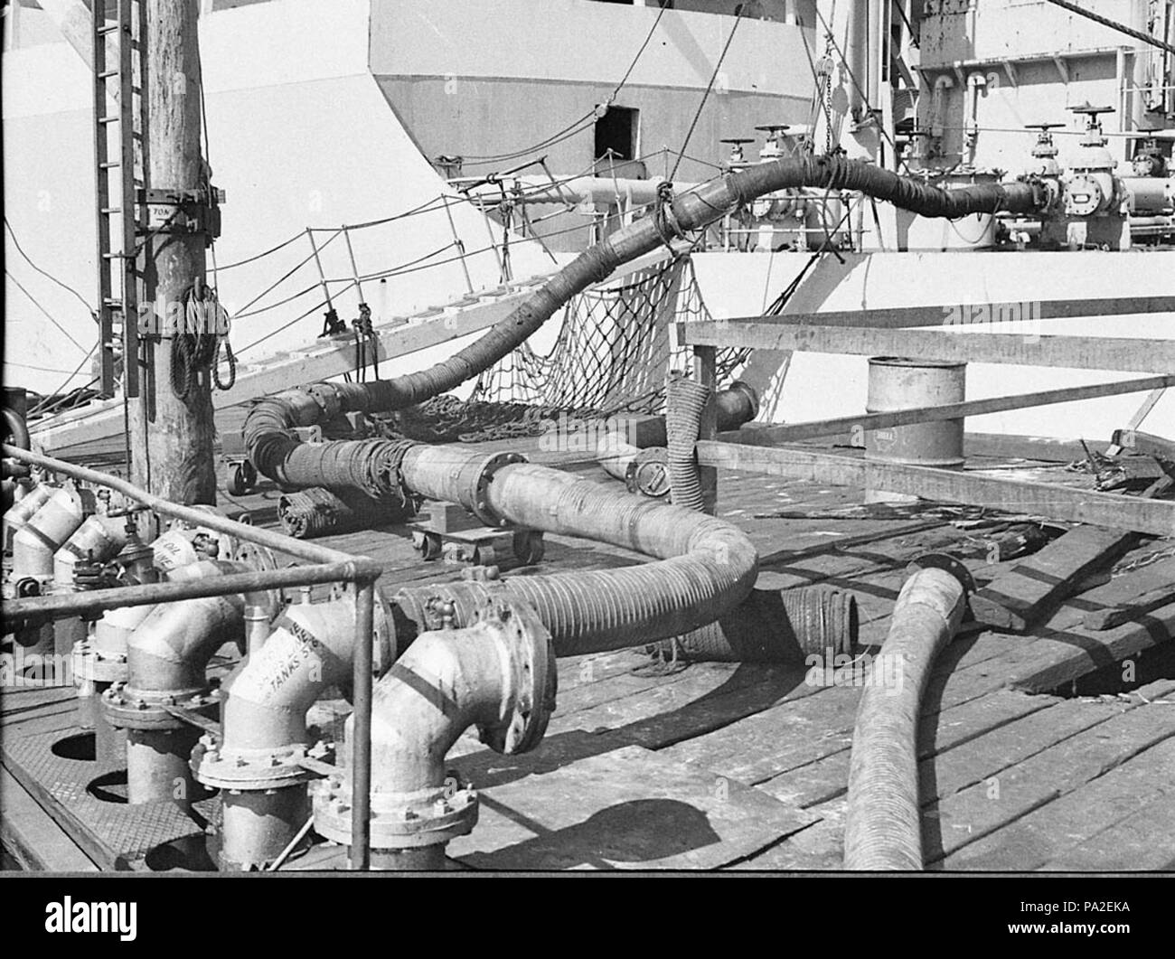 Shell bay Black and White Stock Photos & Images - Alamy