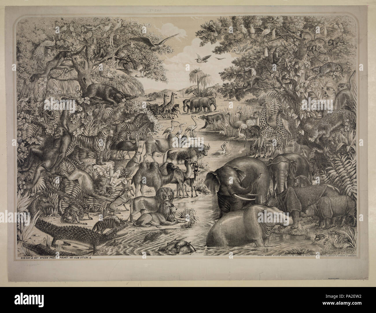 Animals for noahs ark hi-res stock photography and images - Alamy