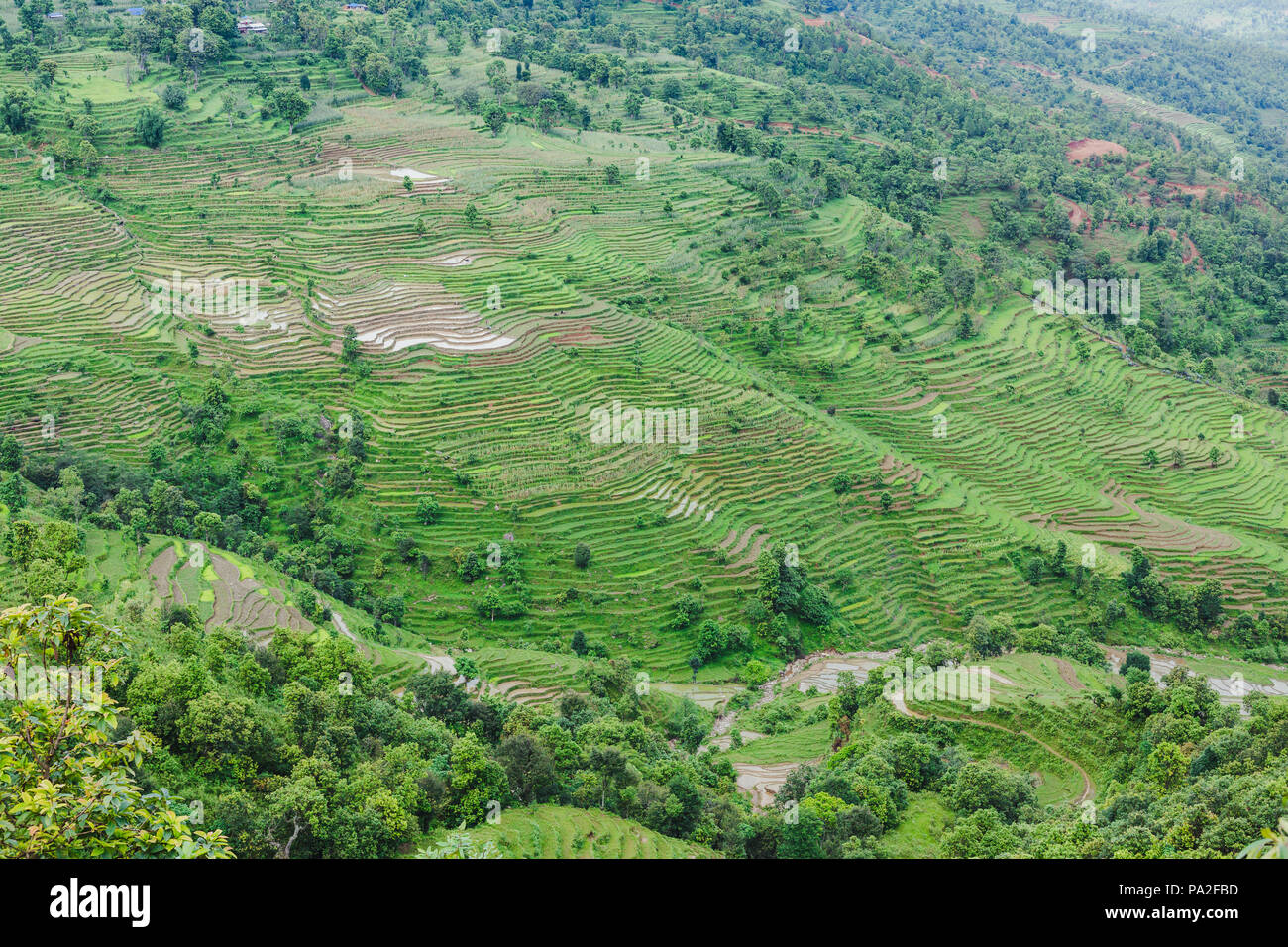 Scenery of beautiful Nepali rural village with mountains and green ...