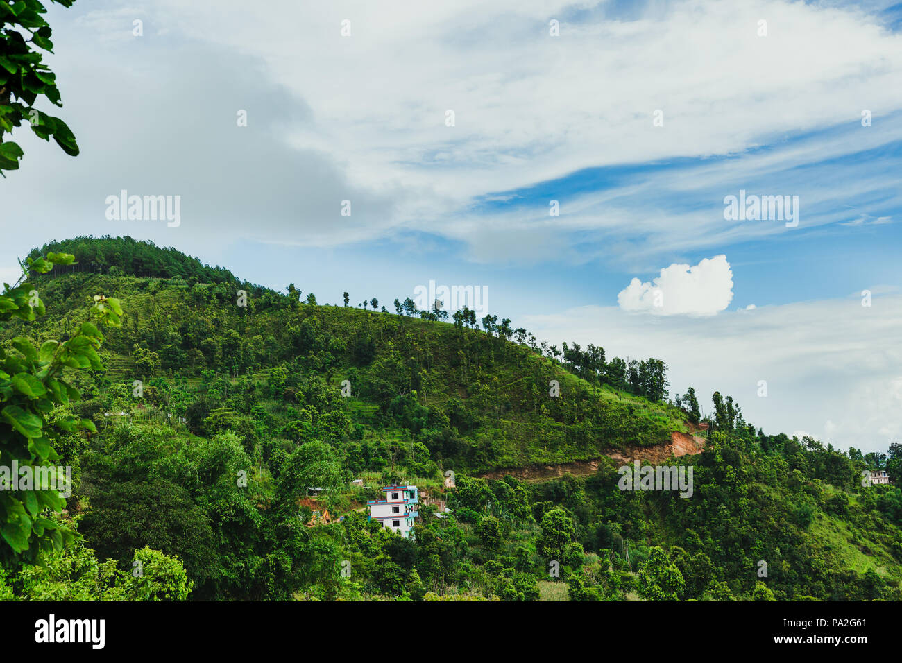 Scenery of beautiful Nepali rural village with mountains and green forest.It is in the hilly ...