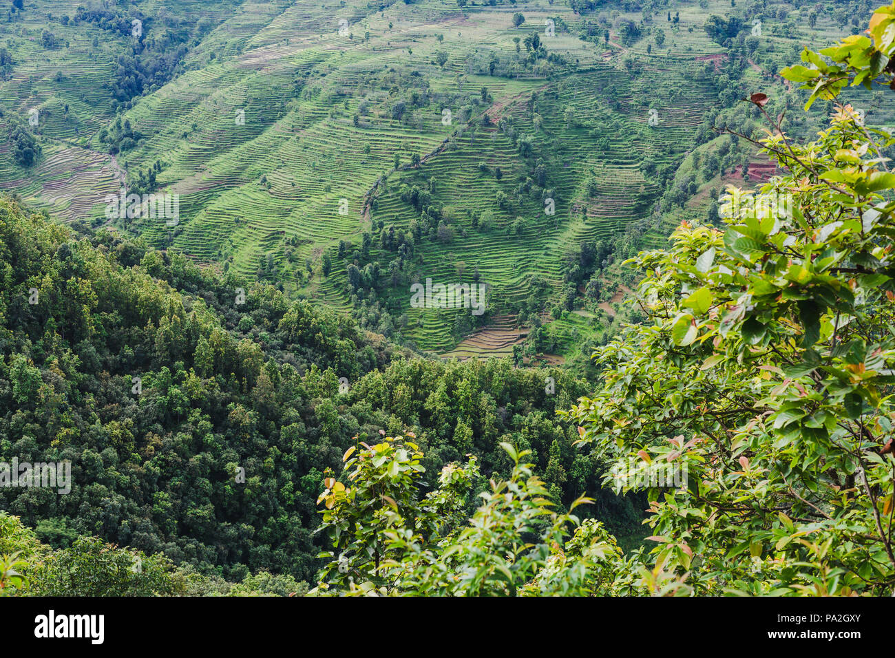 Scenery of beautiful Nepali rural village with mountains and green ...