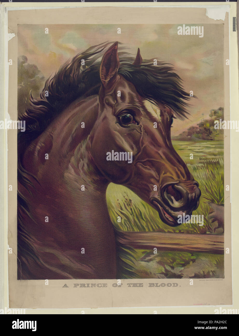 Prince of the blood hi-res stock photography and images - Alamy
