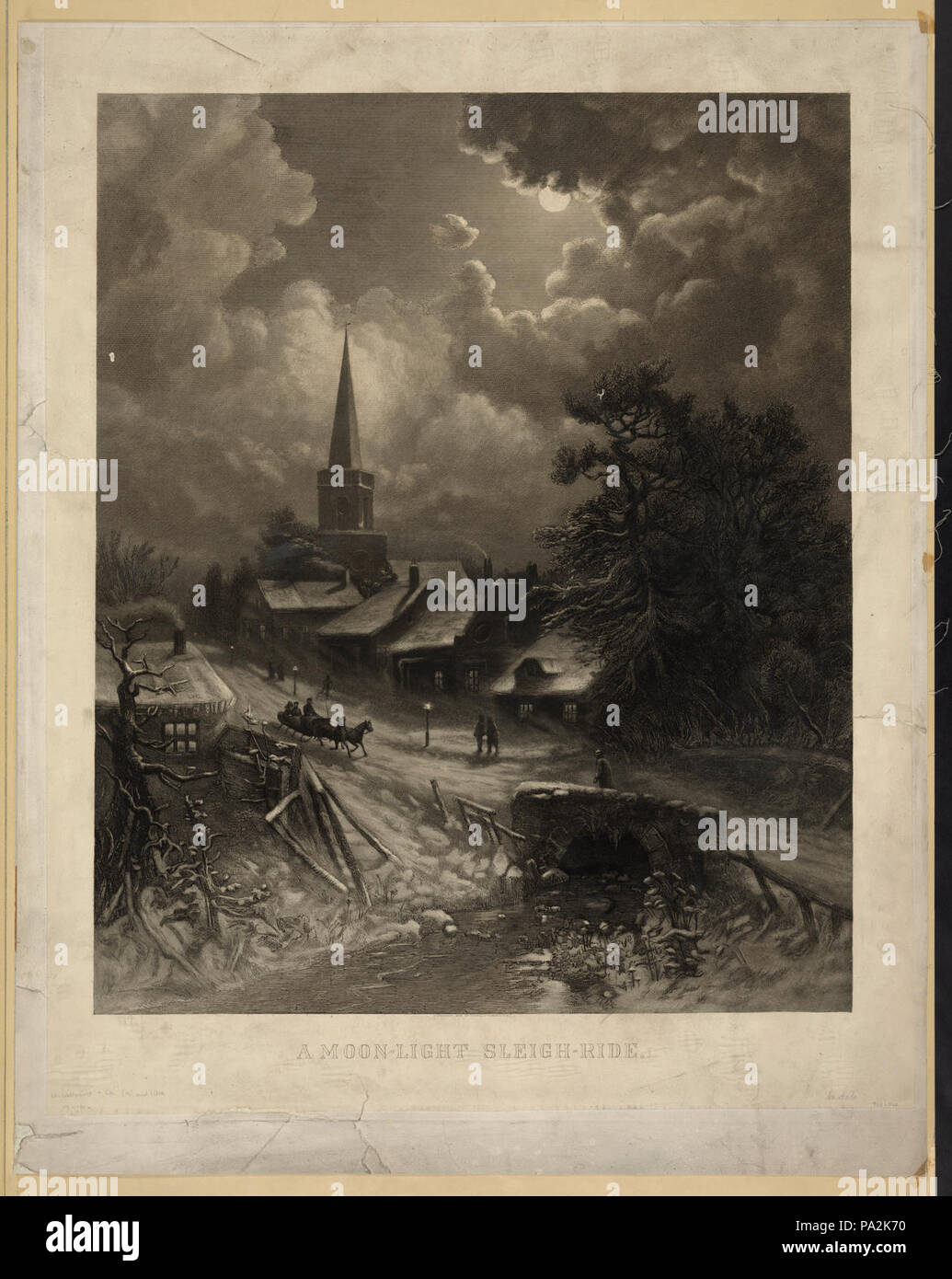 Moon zoology hi-res stock photography and images - Alamy