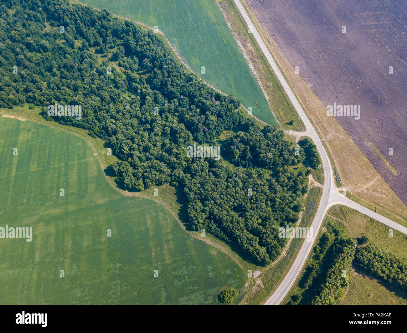 Helicopter drone shot. Aerial photography of green forest with road ...