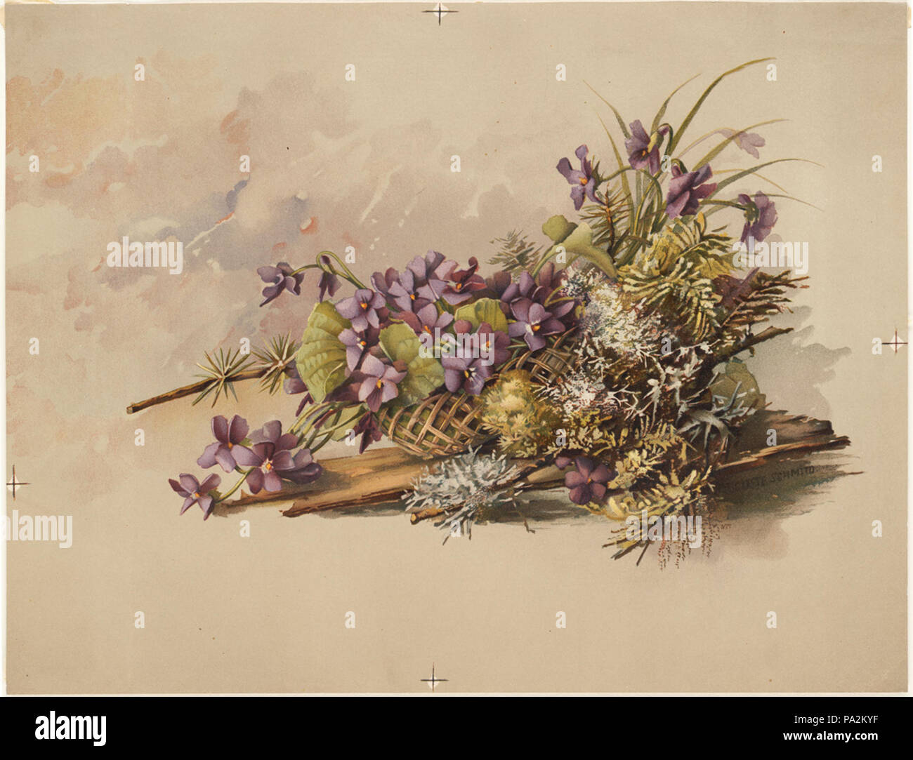 Floral library hi-res stock photography and images - Alamy